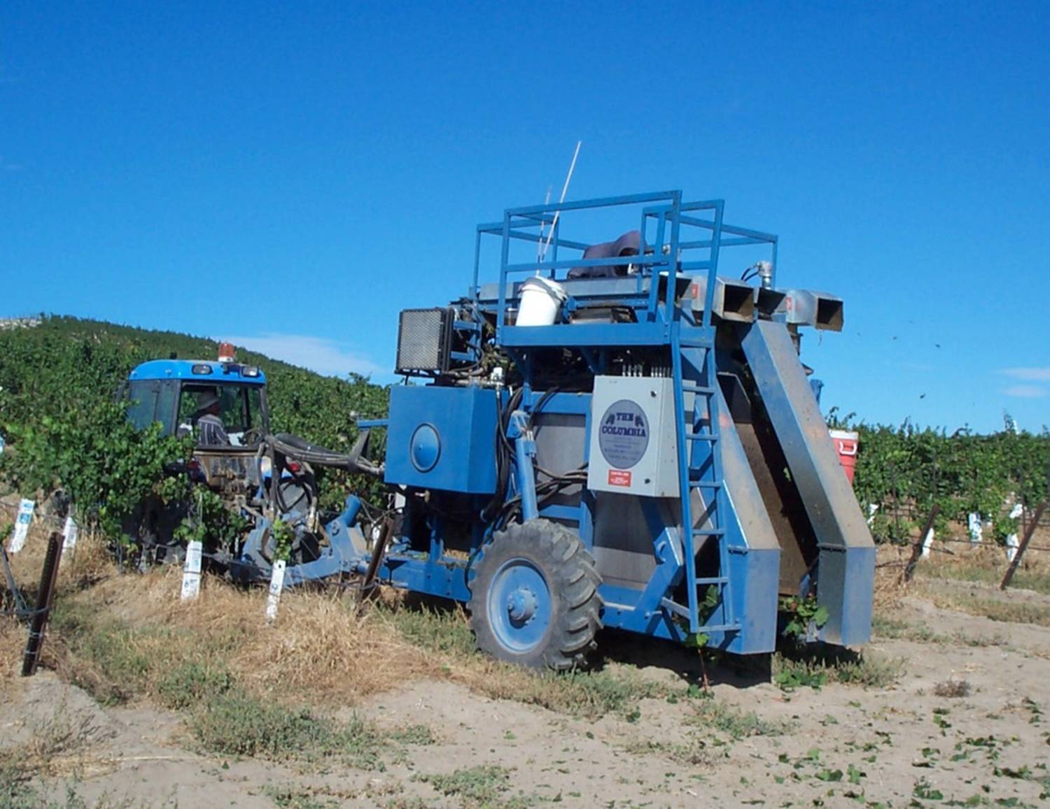 Blueline Columbia Grape Harvester: - Blueline Manufacturing Co.